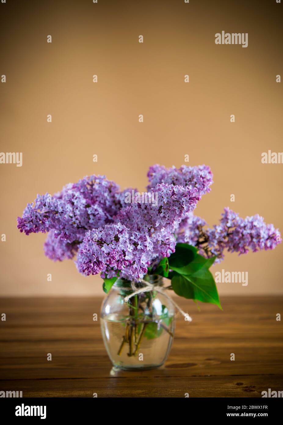 bouquet of beautiful spring flowers of lilac on an orange Stock Photo ...