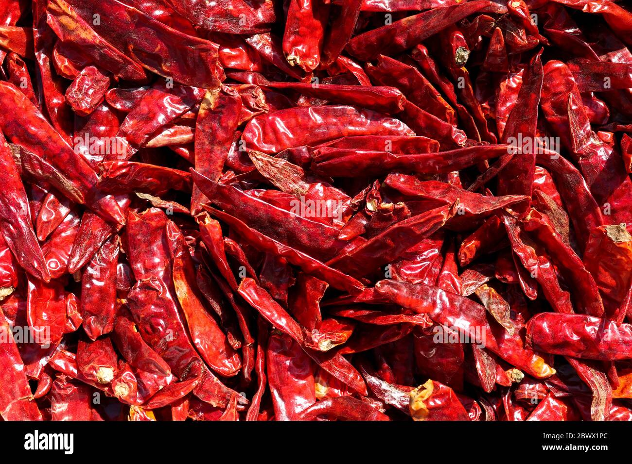 Indian cayenne hi-res stock photography and images - Alamy
