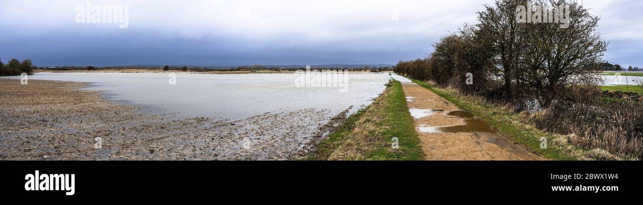 Flood in countryside sussex Stock Photo - Alamy