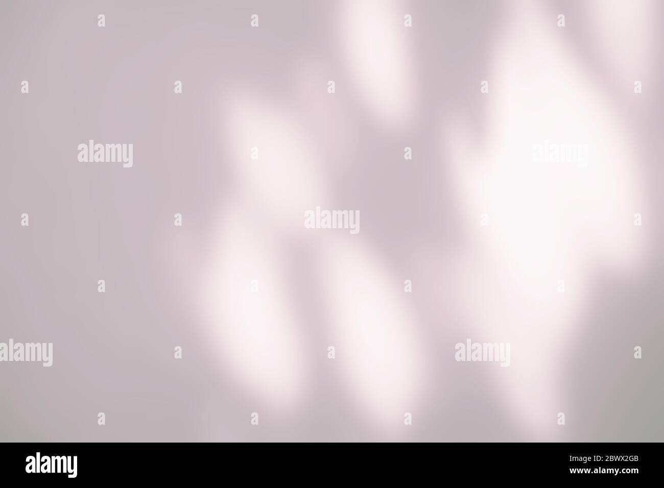 Light leak film burn colorful hi-res stock photography and images - Alamy