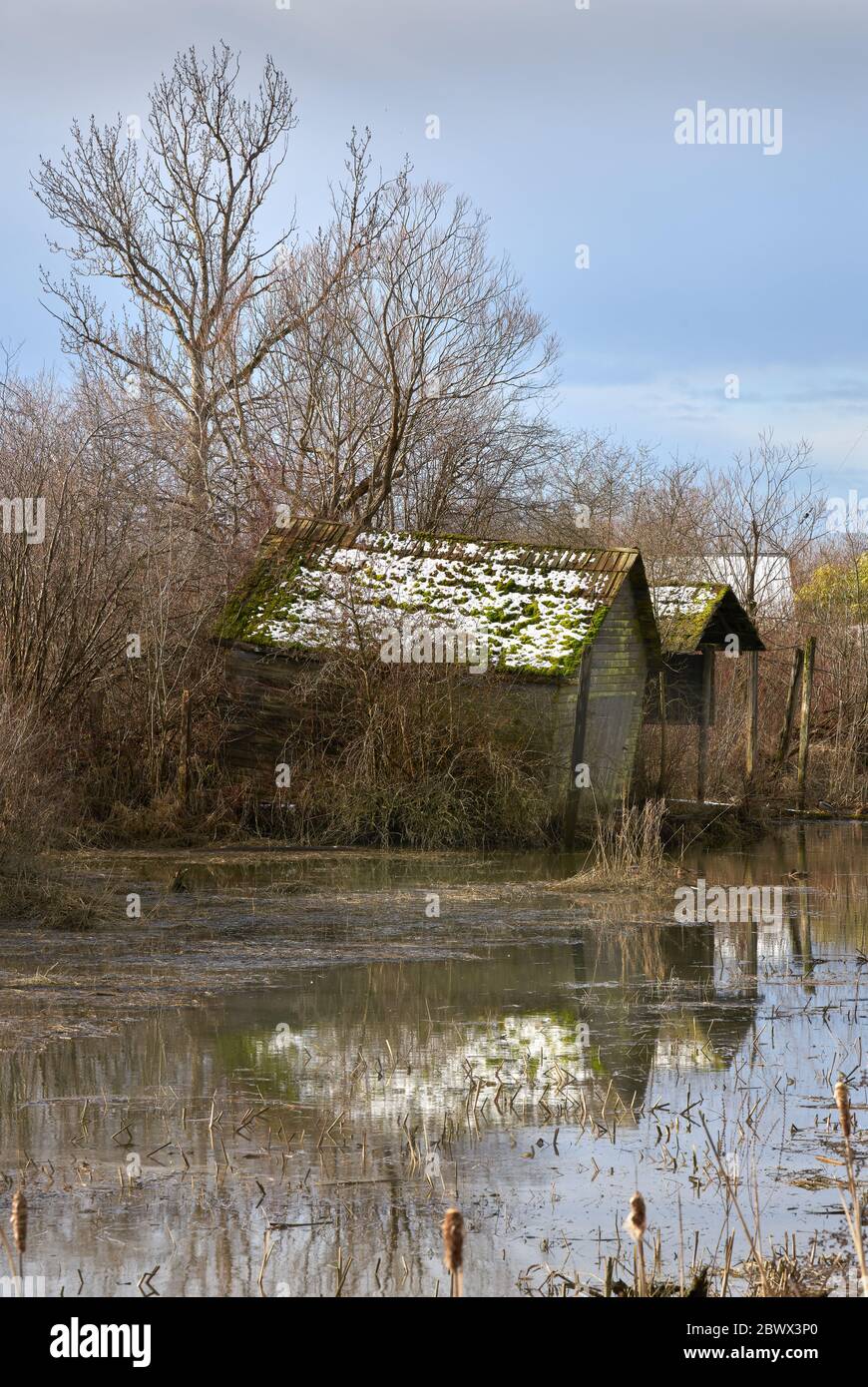 House stilts swamp hi-res stock photography and images - Alamy