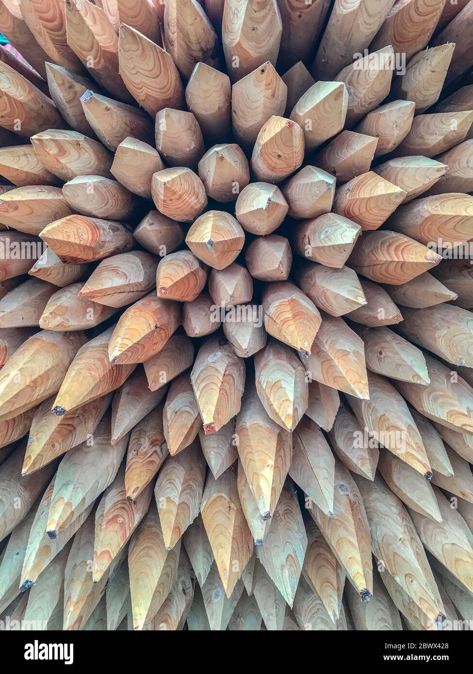 Texture of wooden stakes in a different perspective Stock Photo - Alamy