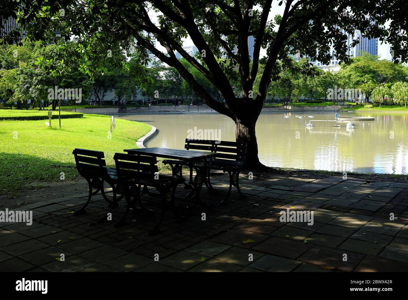 Table and Chairs under the Tree in the Public Park Stock Photo - Alamy