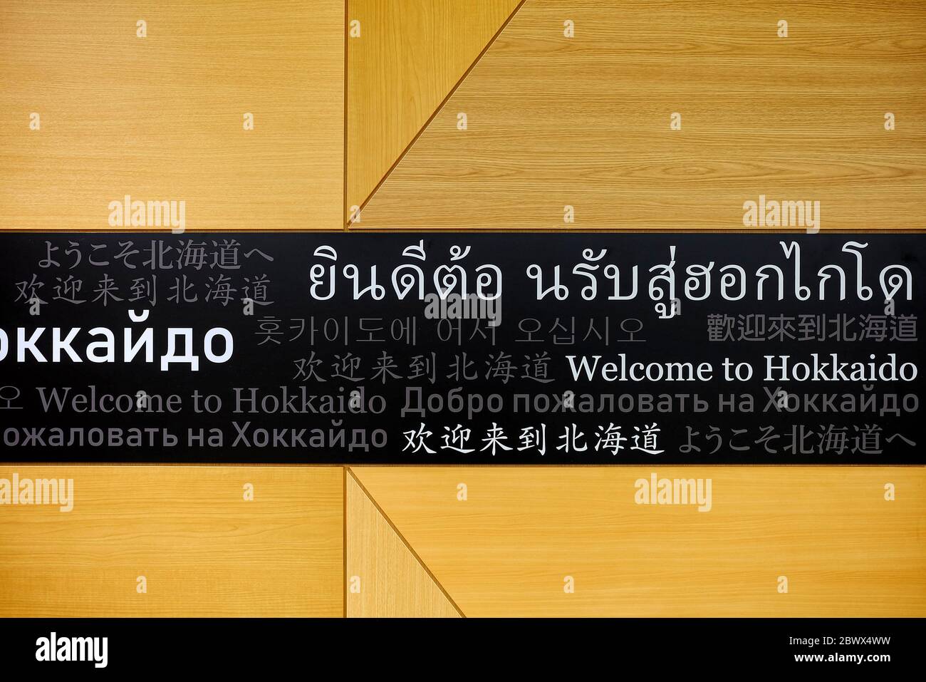 SAPPORO, JAPAN - NOVEMBER 09, 2019: Welcome to Hokkaido Sign in Multi ...