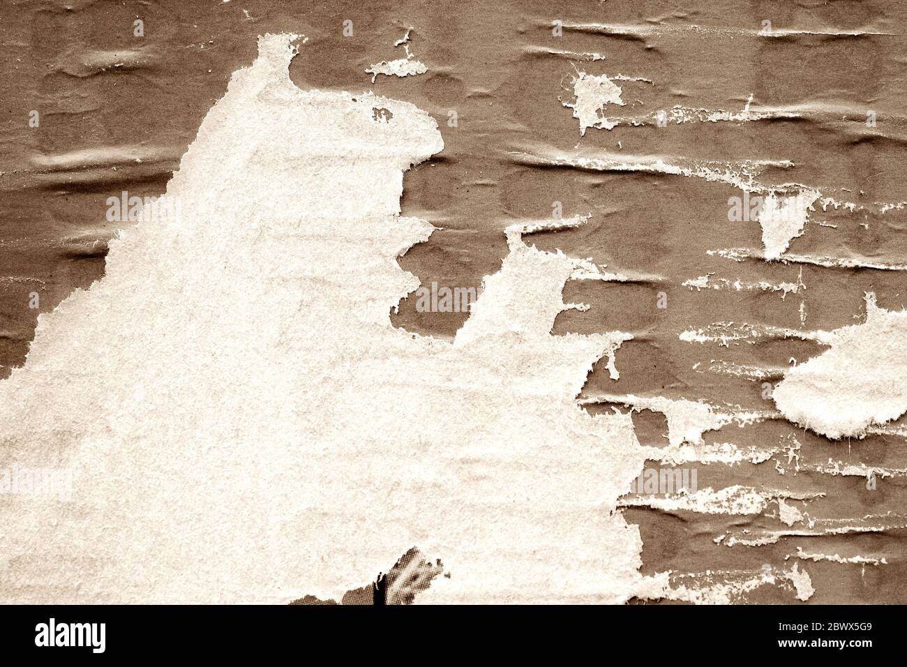 Blank brown beige creased crumpled paper texture background old grunge ...