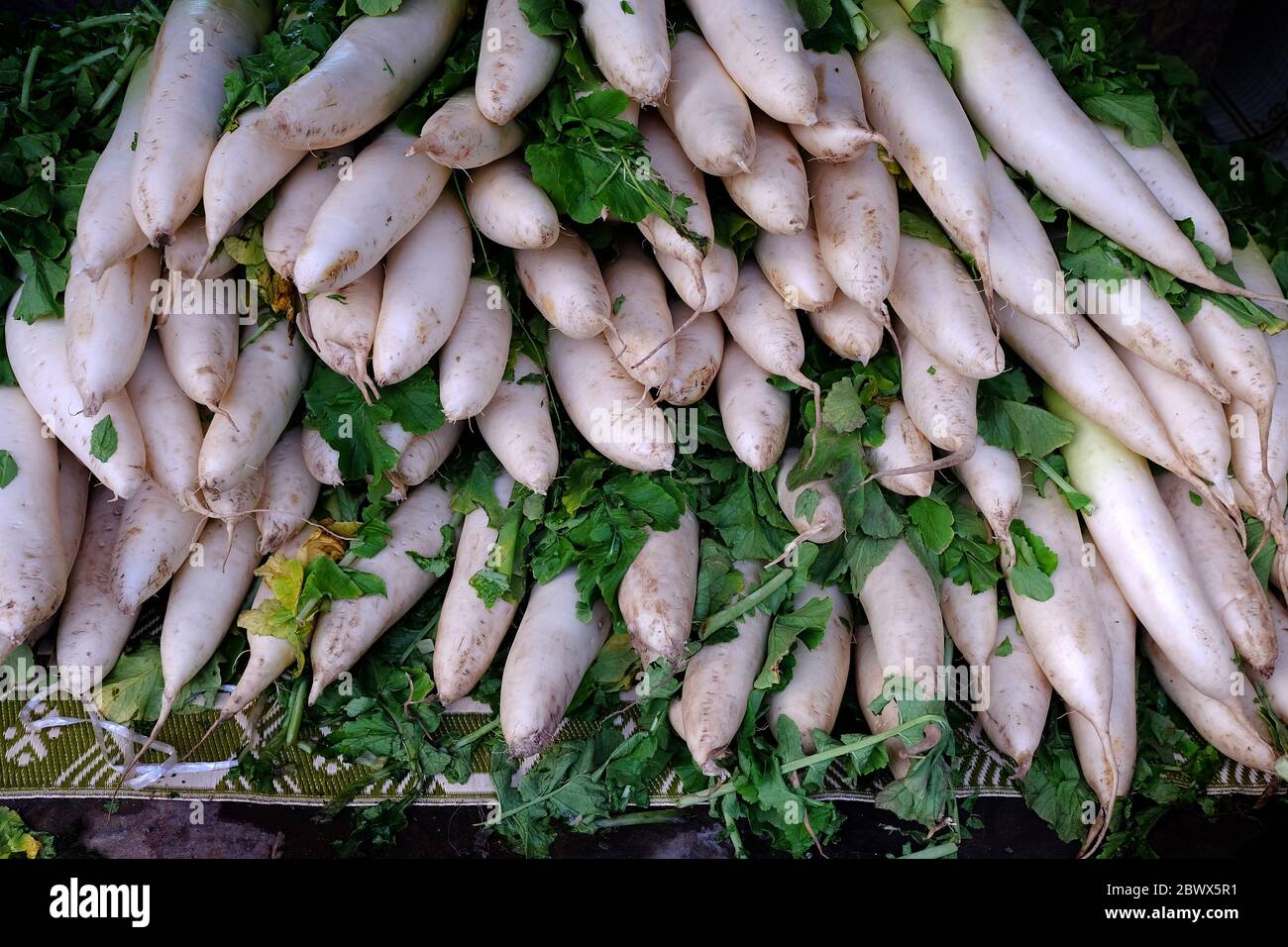 Pile of White Daikon Radish in the Japanese Market Stock Photo - Alamy