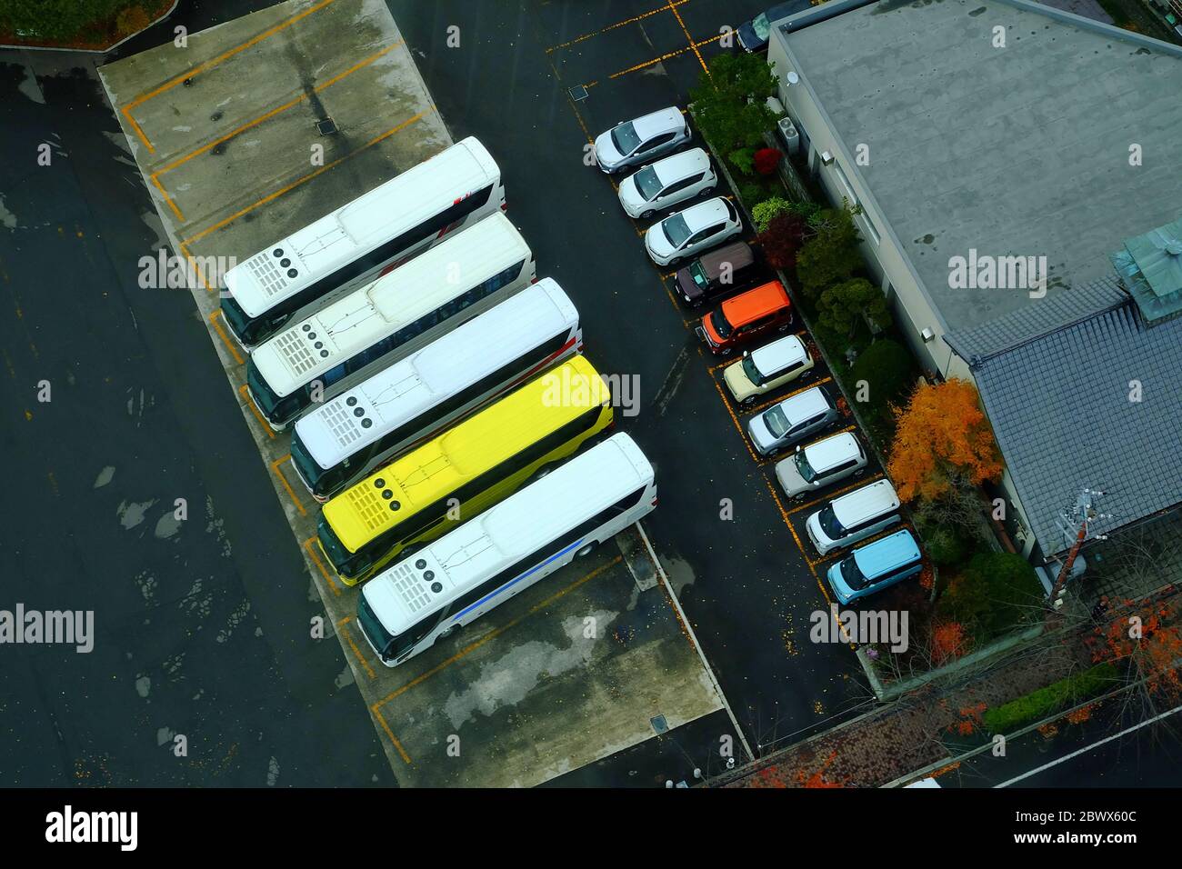 Top View of Car Parking Lot with Tourist Buses in the Autumn Stock ...