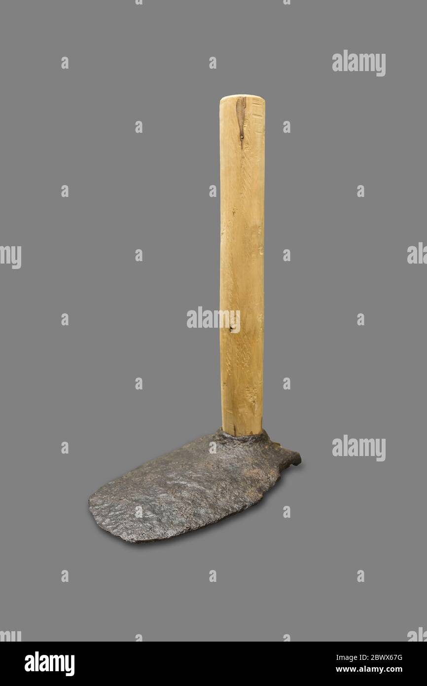 Narrow head hi-res stock photography and images - Alamy