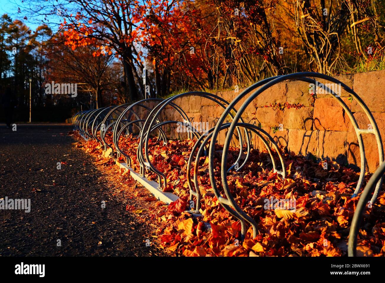 Bicycle storage in park hi-res stock photography and images - Alamy