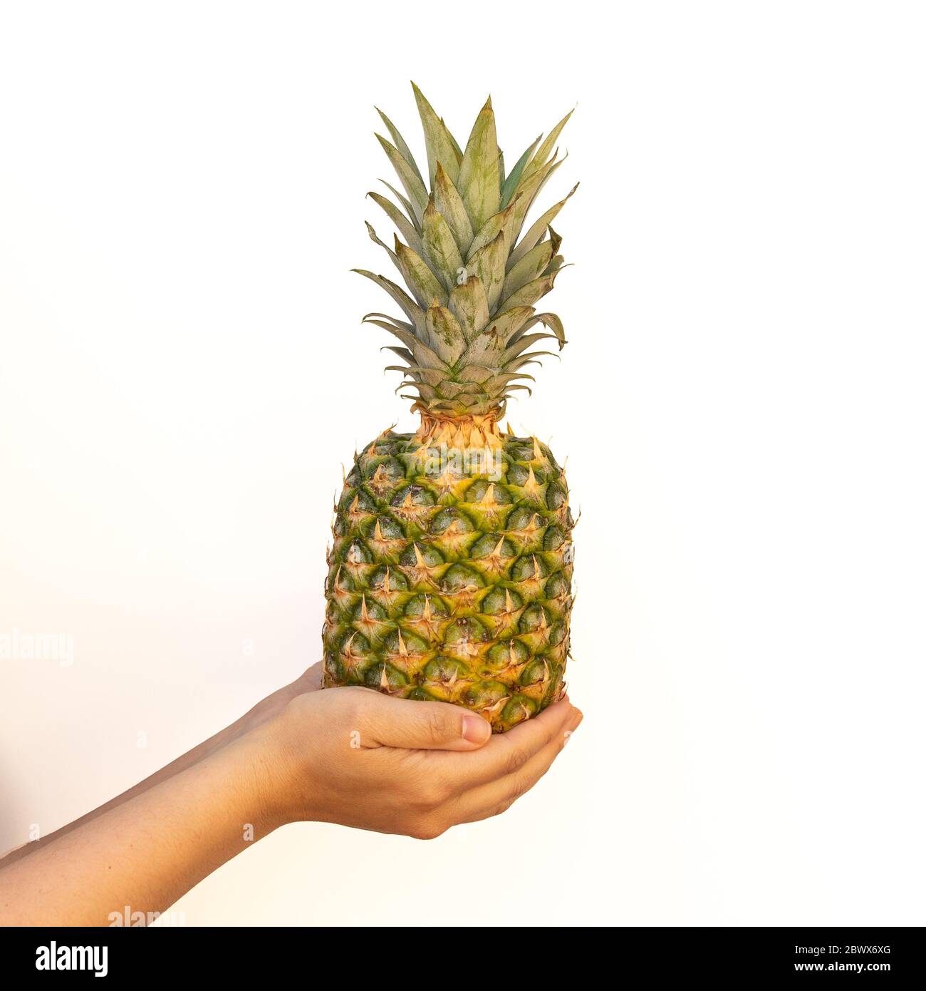 Female Hands Holding Whole Pineapple with White Background Stock Photo ...