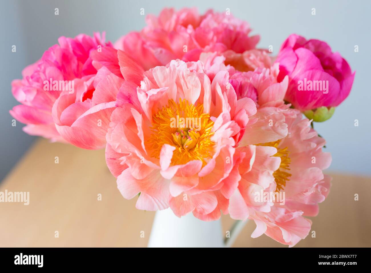 Petal smooth hi-res stock photography and images - Alamy