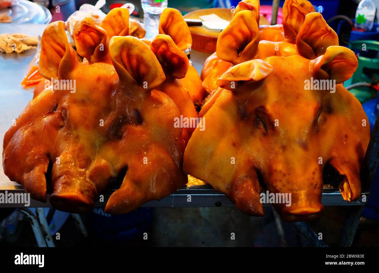 Pig Head Photo