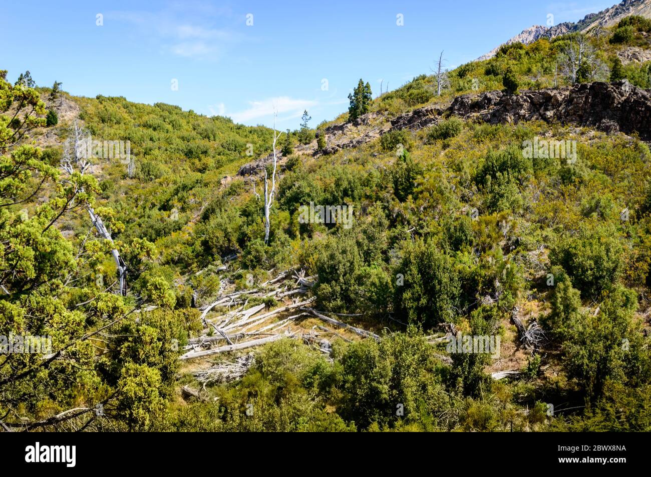 Sad vibes hi-res stock photography and images - Alamy