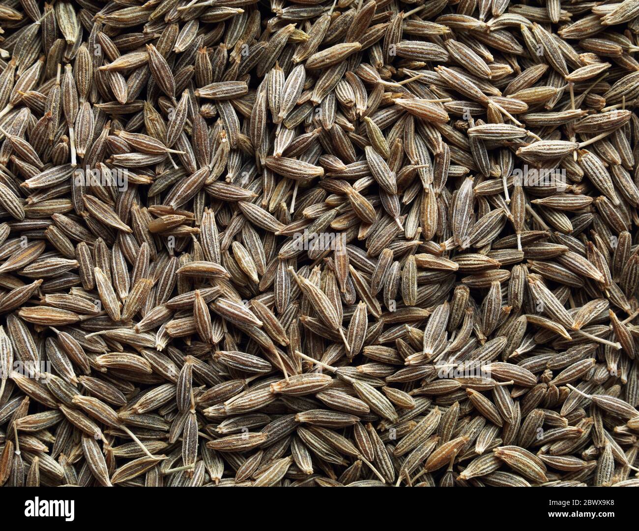 Cumin close up hi-res stock photography and images - Alamy