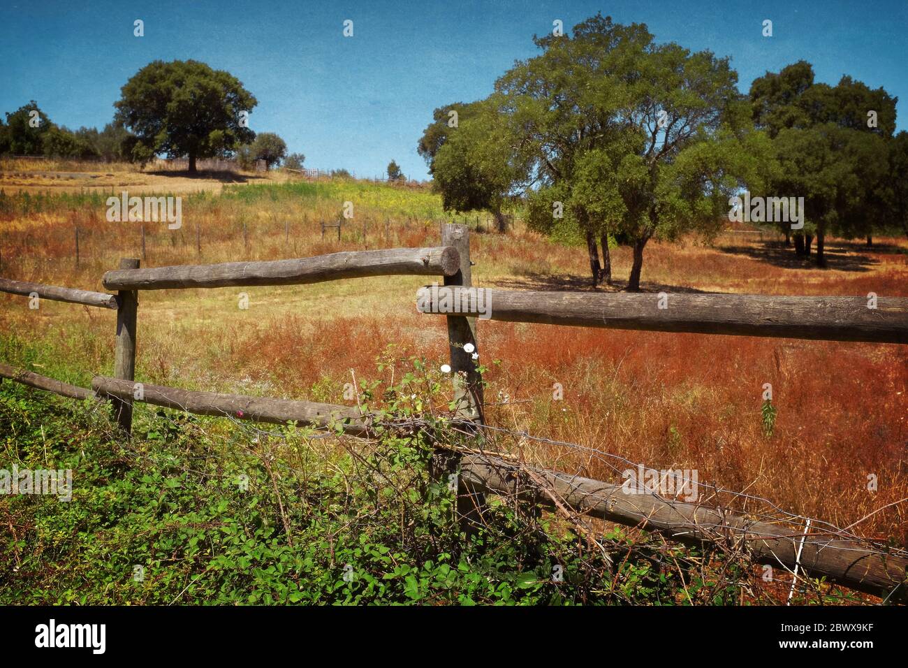 Portuguese countryside hi-res stock photography and images - Alamy