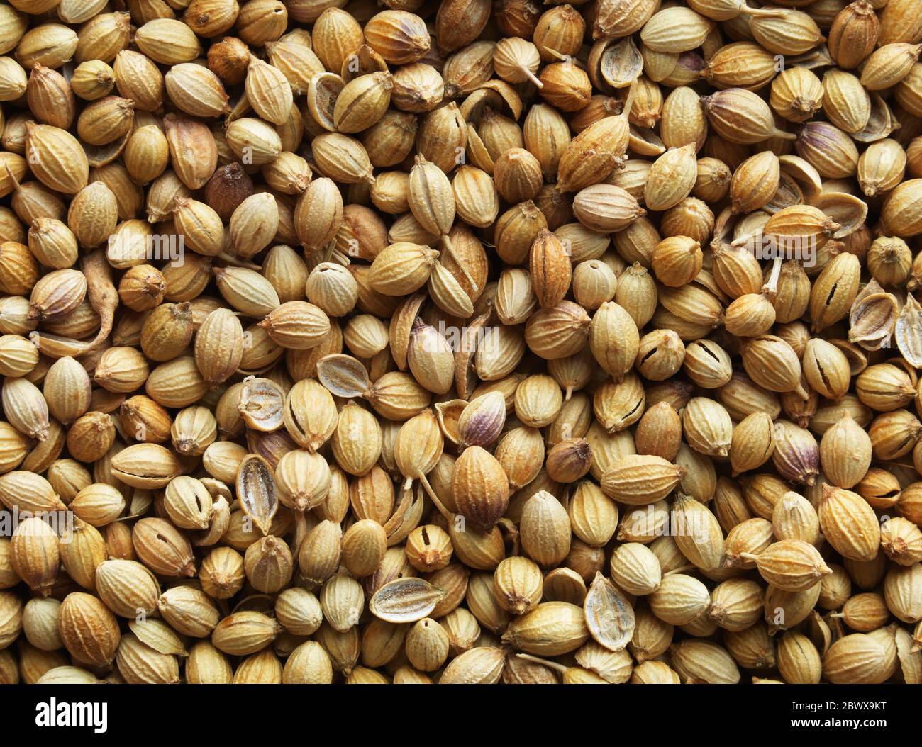Full flavour hi-res stock photography and images - Alamy