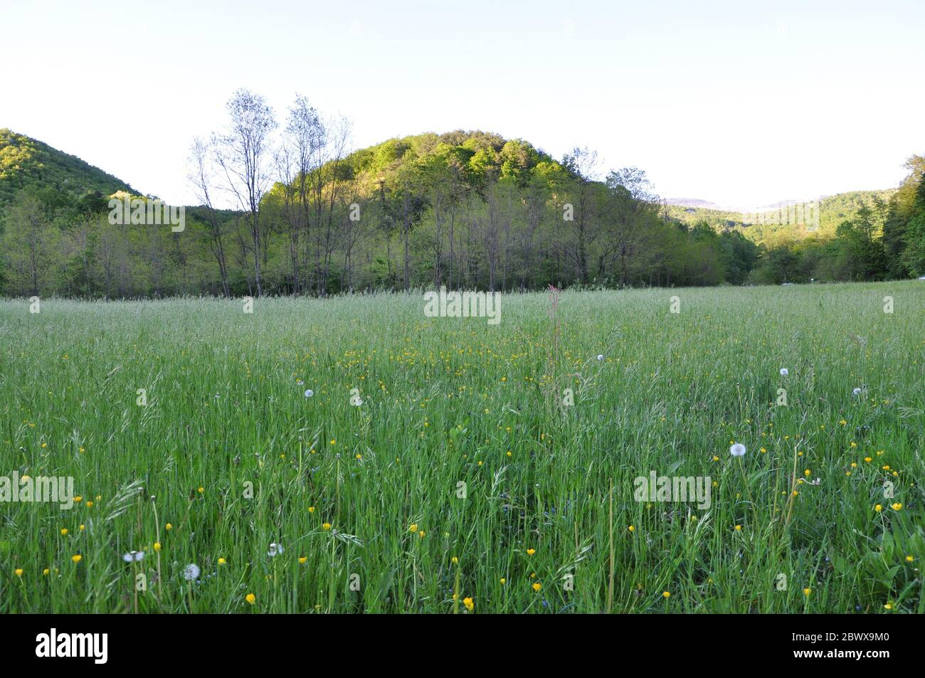 Idyllic spring landscape. Idyllic view, green hills and blue sky with ...
