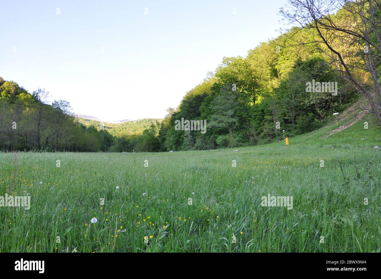 Fields spring blue sky hi-res stock photography and images - Alamy