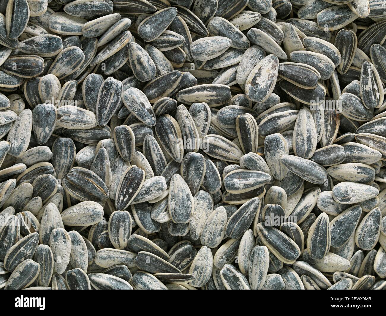 Raw Sunflower seeds overhead, full frame Stock Photo - Alamy