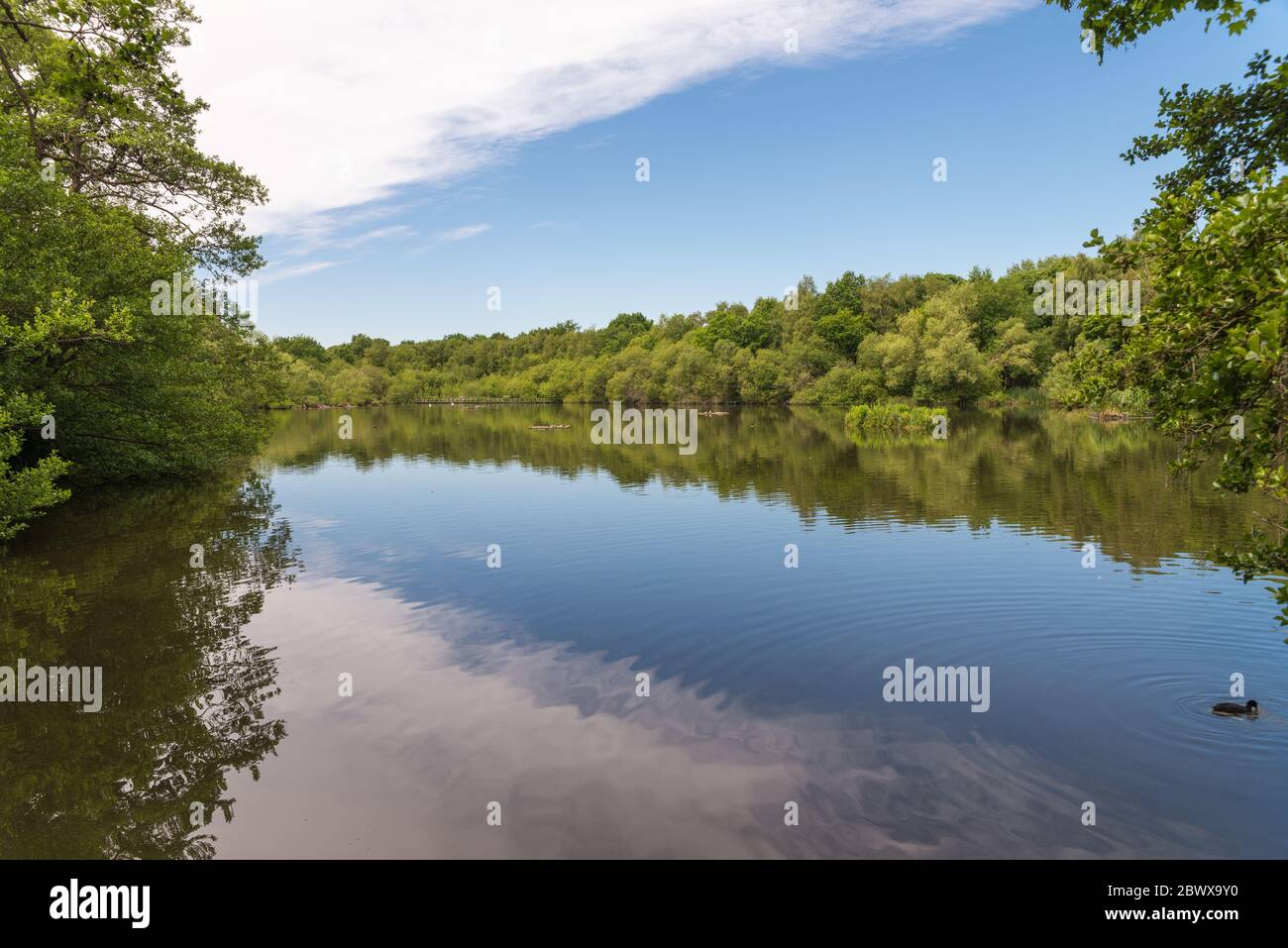 Fradley Nature Reserve and reservoir at Fradley Junction in ...