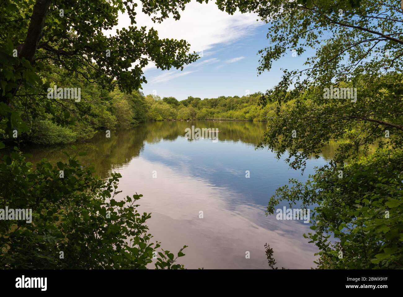 Fradley Nature Reserve and reservoir at Fradley Junction in ...