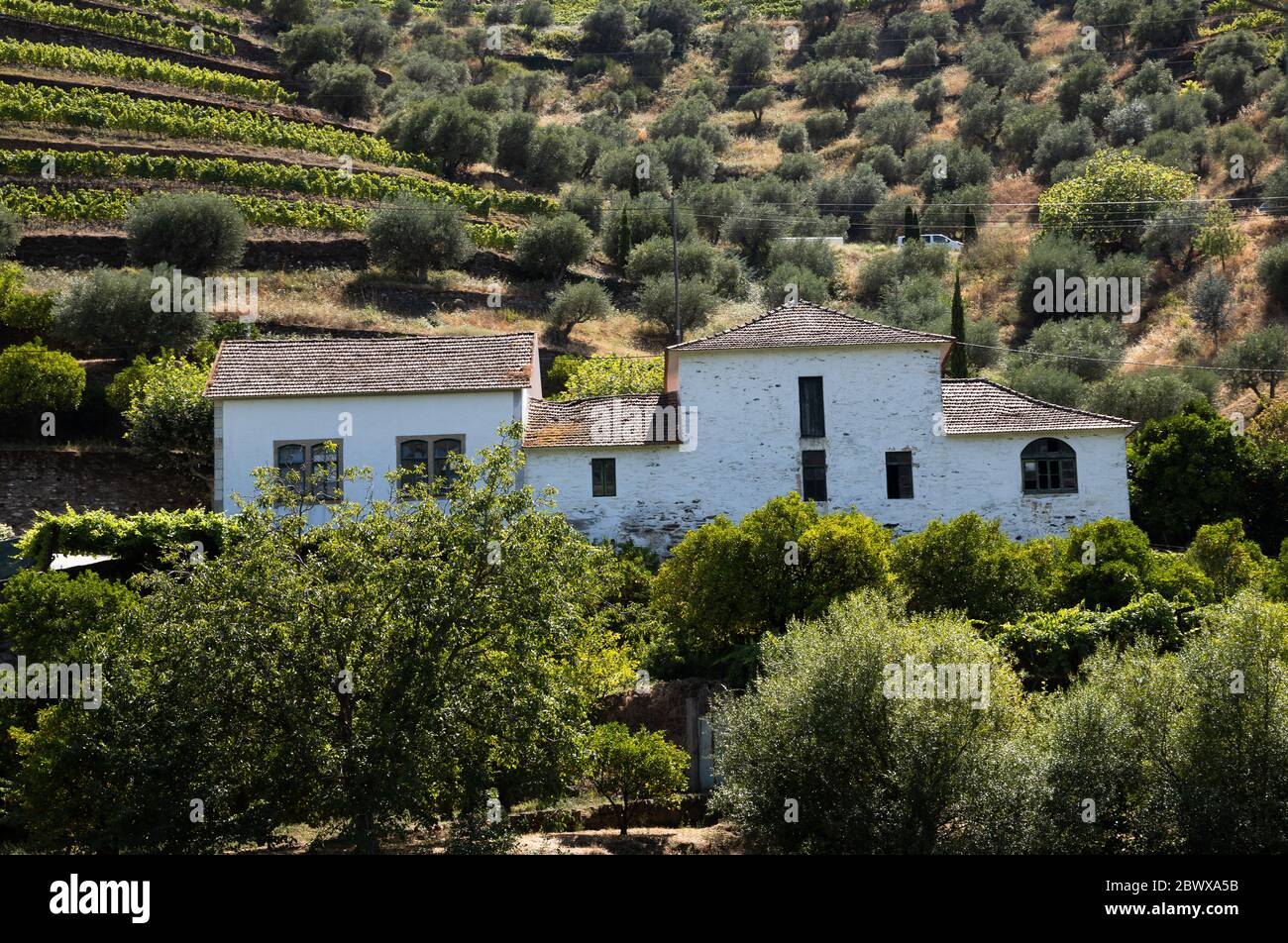 Portuguese quintas hi-res stock photography and images - Alamy