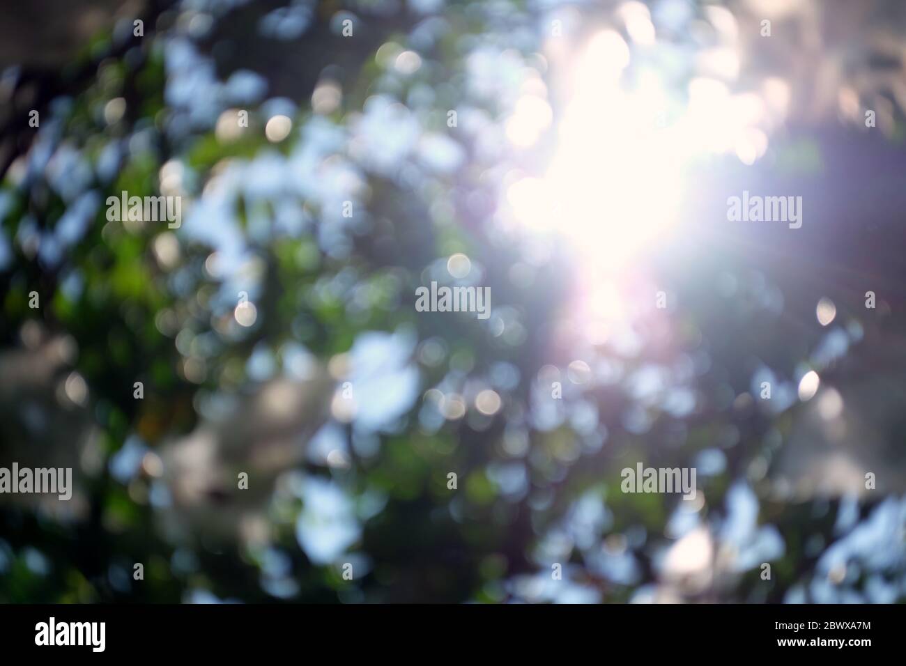 Blurred Sunlight and Beams with Bokeh Background Stock Photo - Alamy