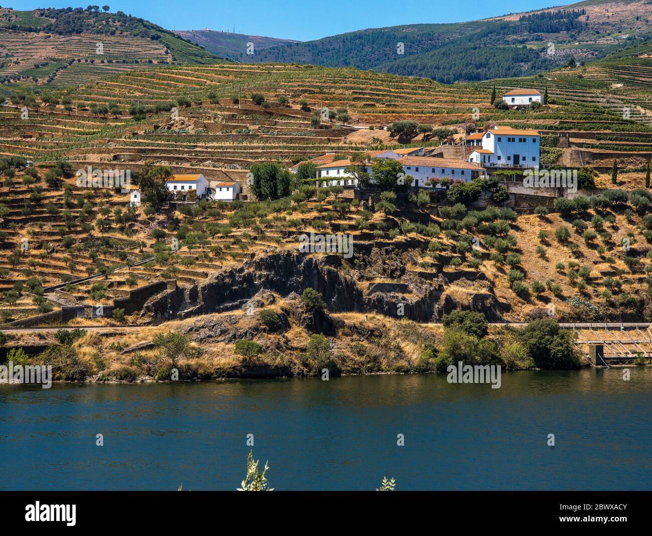 White wine scenery hi-res stock photography and images - Alamy