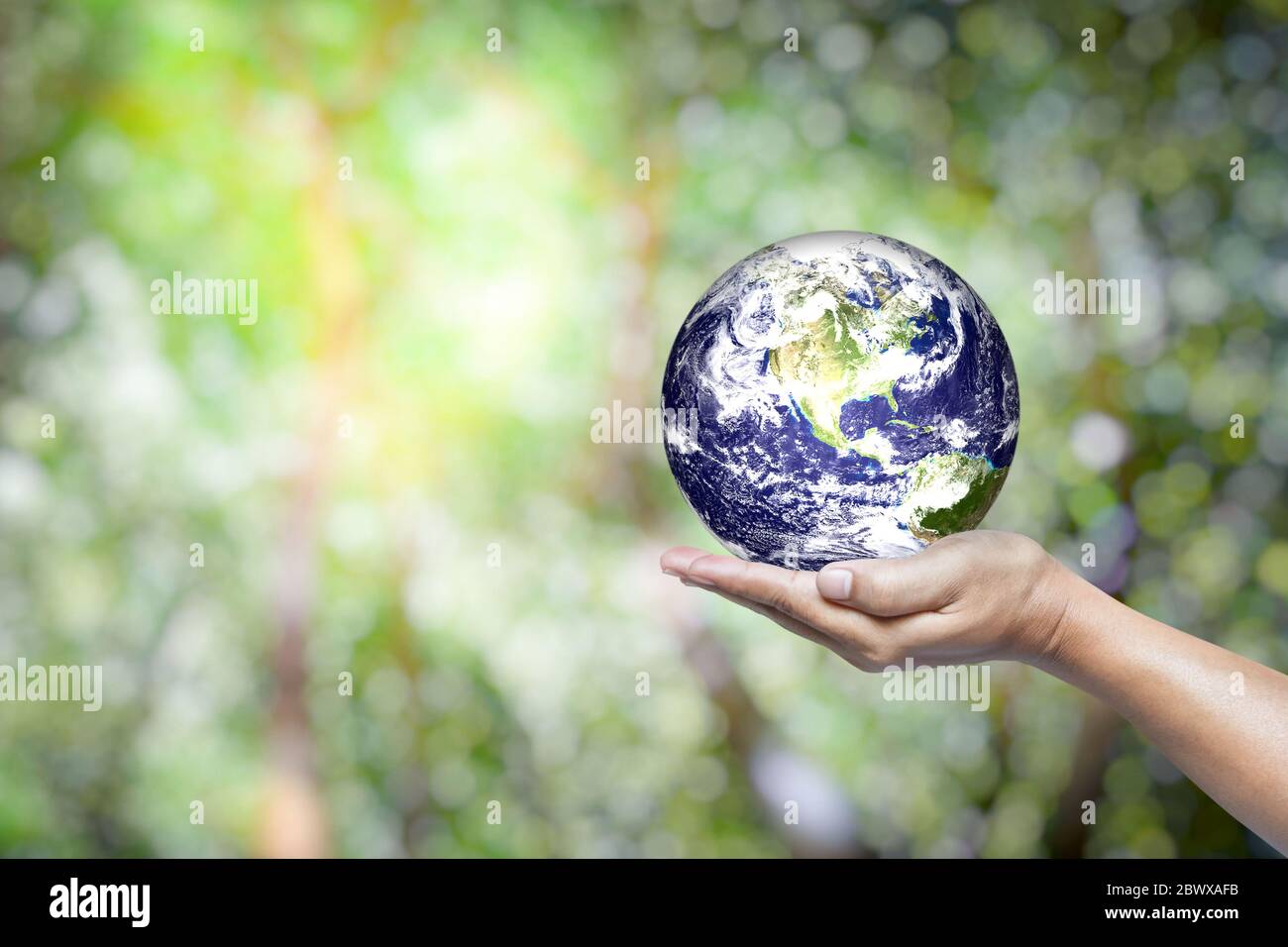 Hand Holding Earth with Abstract Green Leaves Bokeh and Sunlight Beam ...