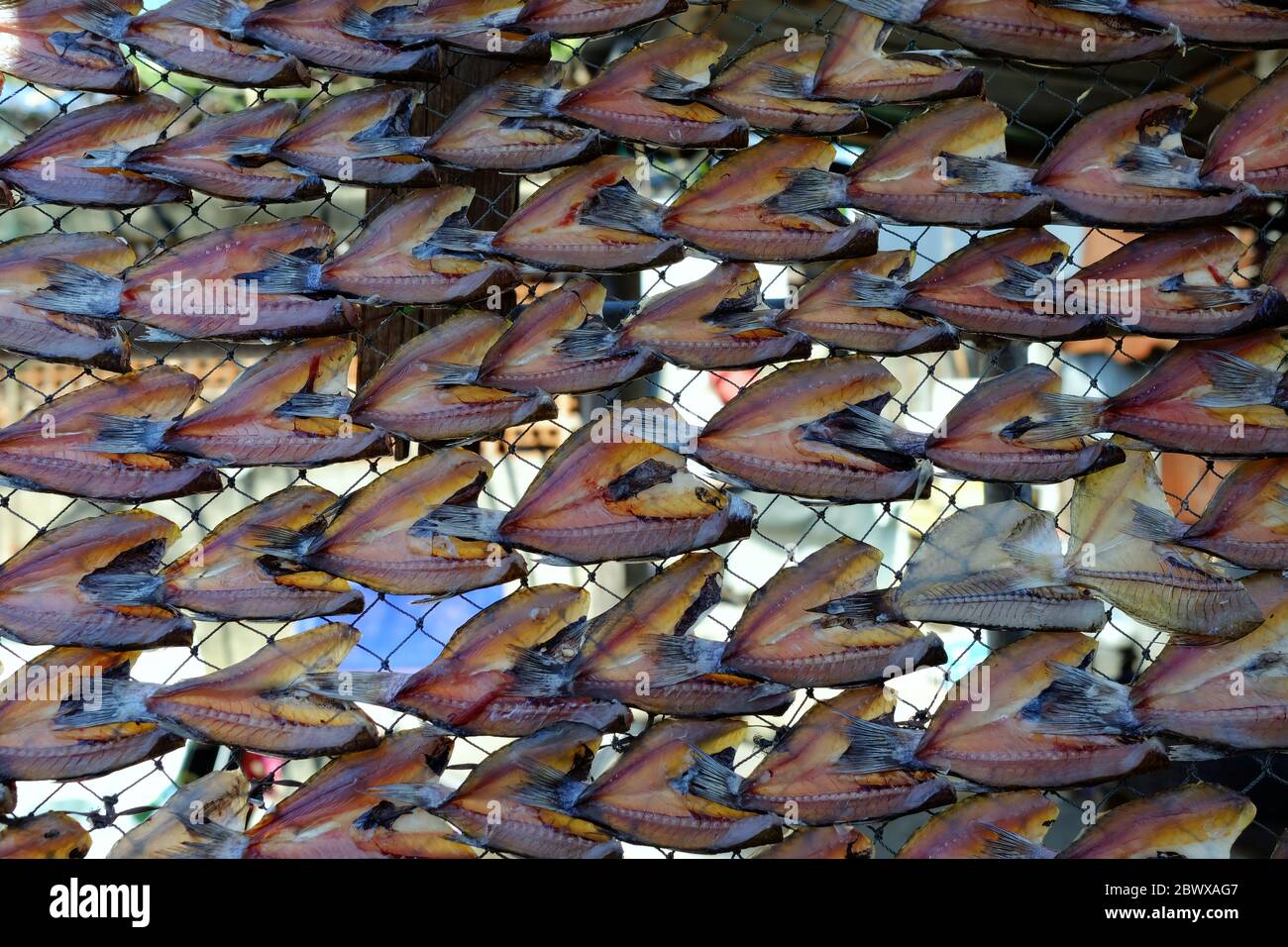 Salting Fish preservation by drying at Fisherman Village Stock Photo ...