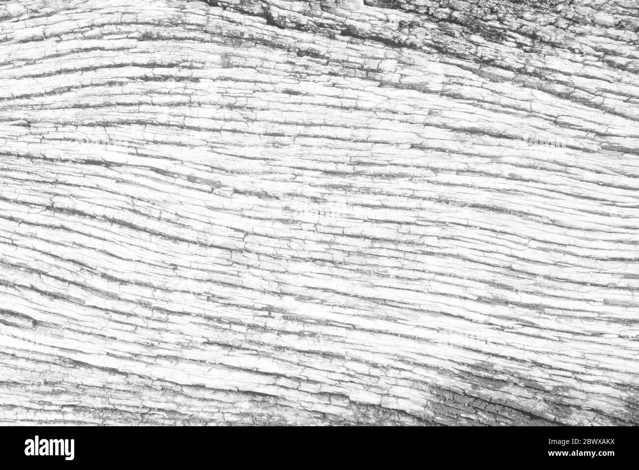 White Decayed Wooden Board Texture Background, Suitable for ...