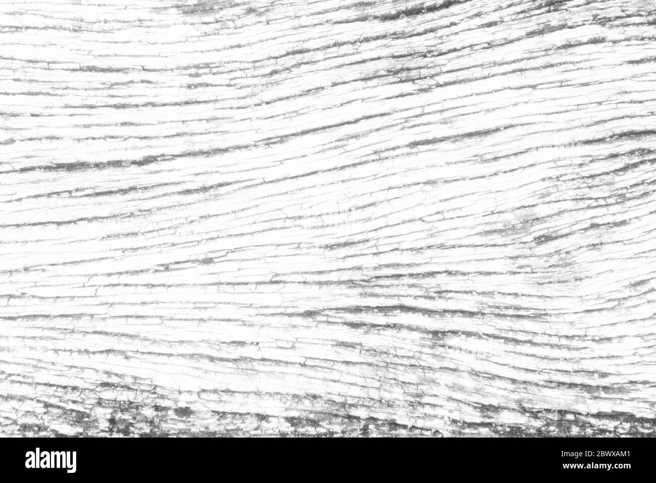 White Decayed Wooden Board Texture Background, Suitable for ...