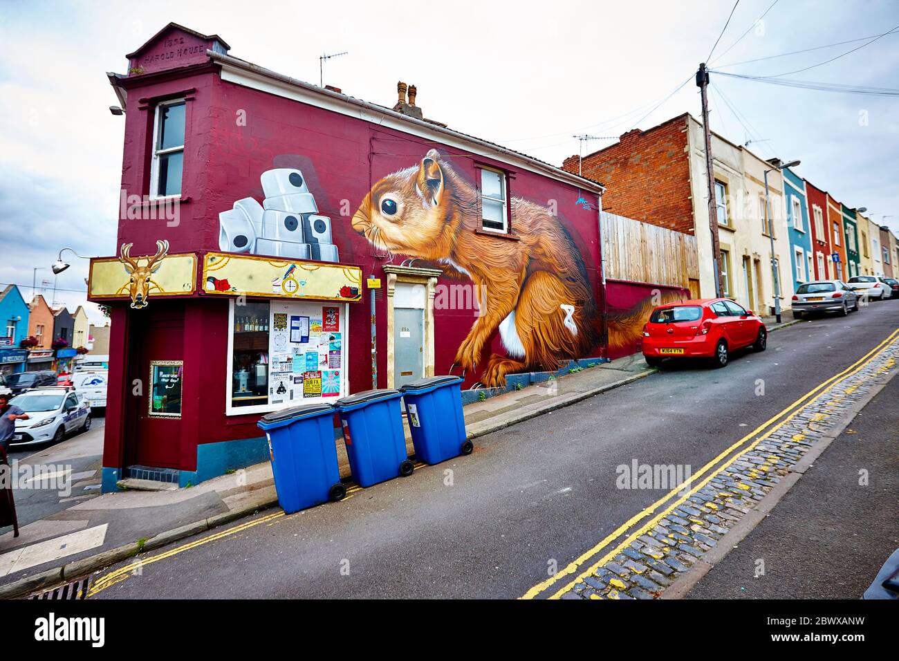 Squirrel Wall Mural in Bristol, UK, England Stock Photo - Alamy