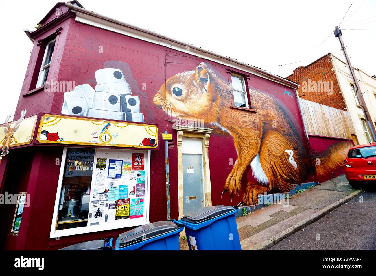 Squirrel Wall Mural in Bristol, UK, England Stock Photo - Alamy