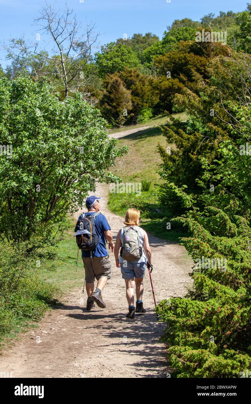People walking and rambling on Arnside Knot Cumbria national nature ...