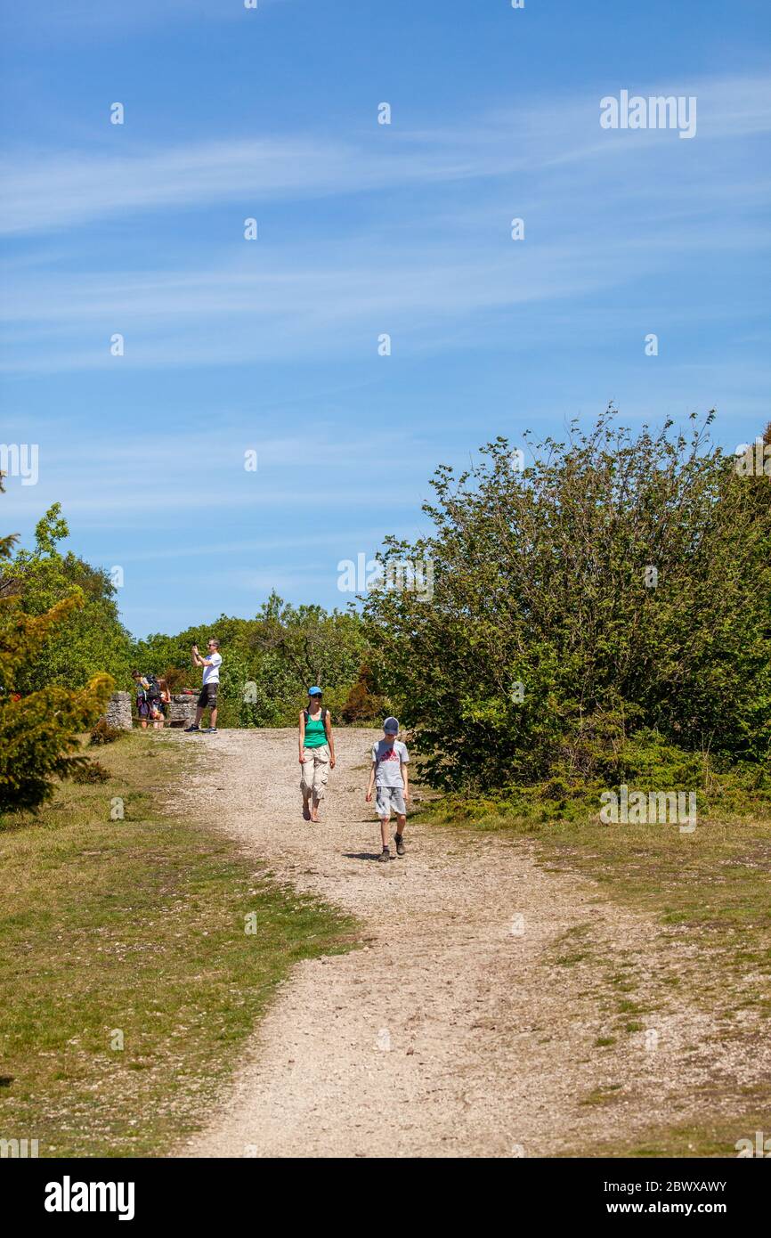 People walking and rambling on Arnside Knot Cumbria national nature ...