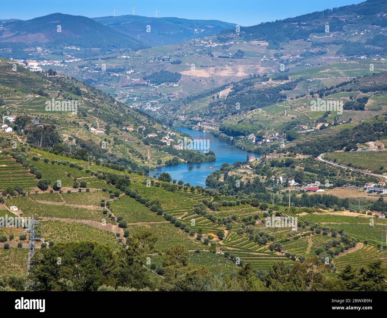 Grape terreces hi-res stock photography and images - Alamy