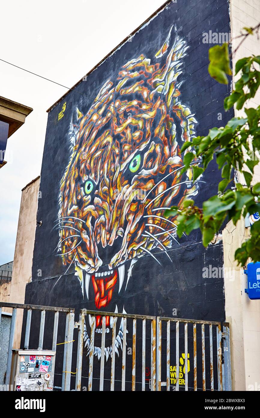 Urban tiger bristol hi-res stock photography and images - Alamy