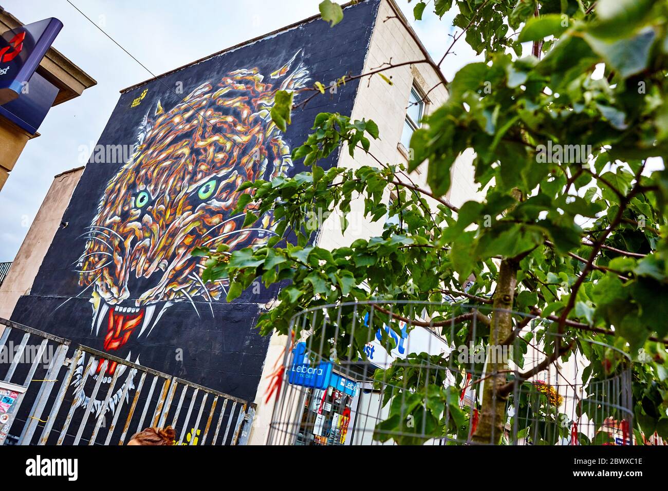 Urban tiger bristol hi-res stock photography and images - Alamy