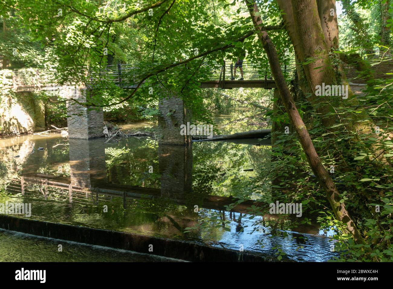 a close up view of the pillars of a small bridge over a small flowing ...