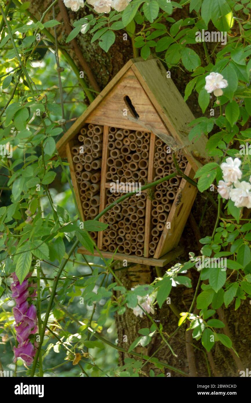 a close up view of a bug house that has been man made to encourage bugs ...