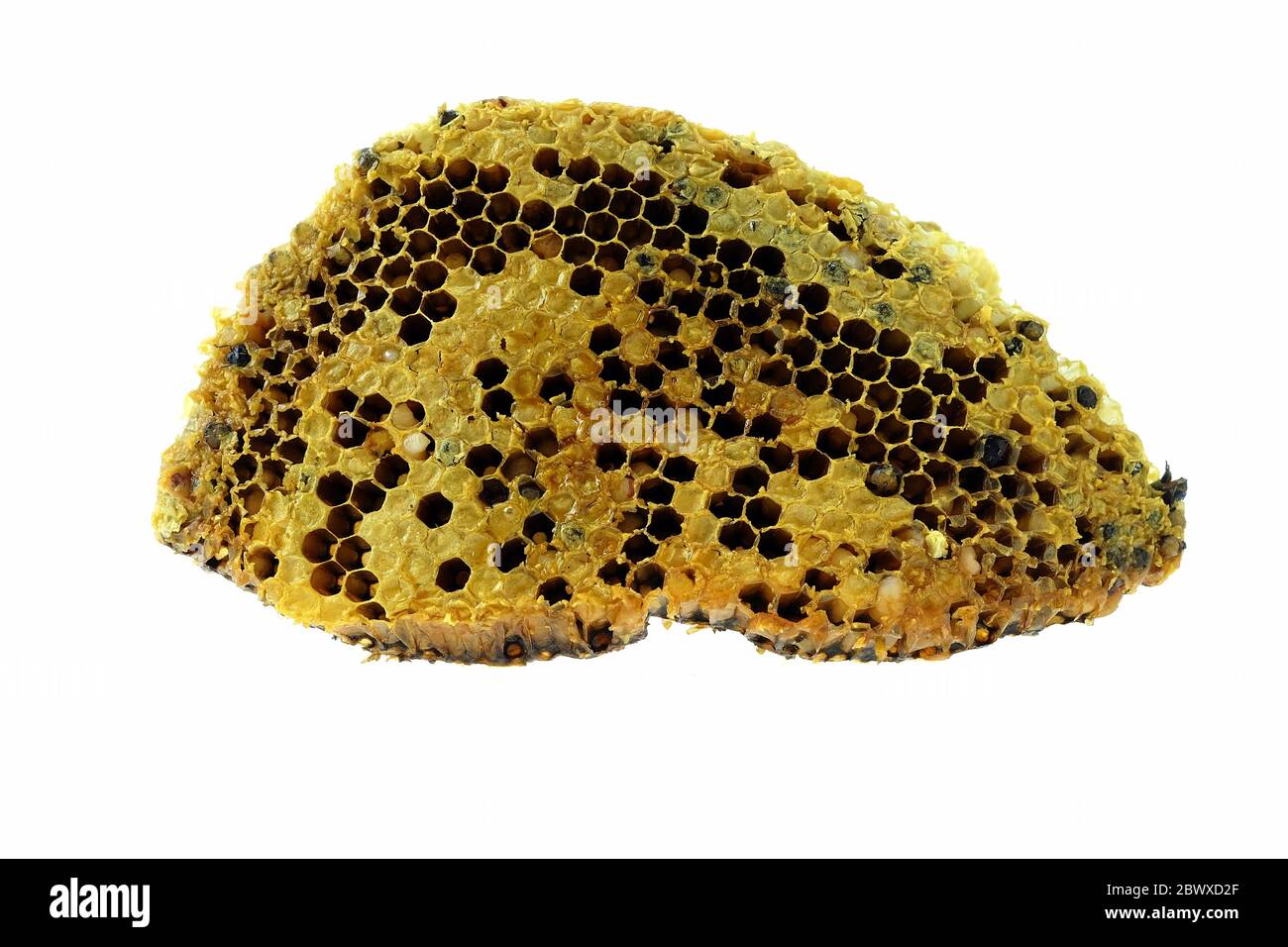 Polygon bee honeycomb pattern hi-res stock photography and images - Alamy