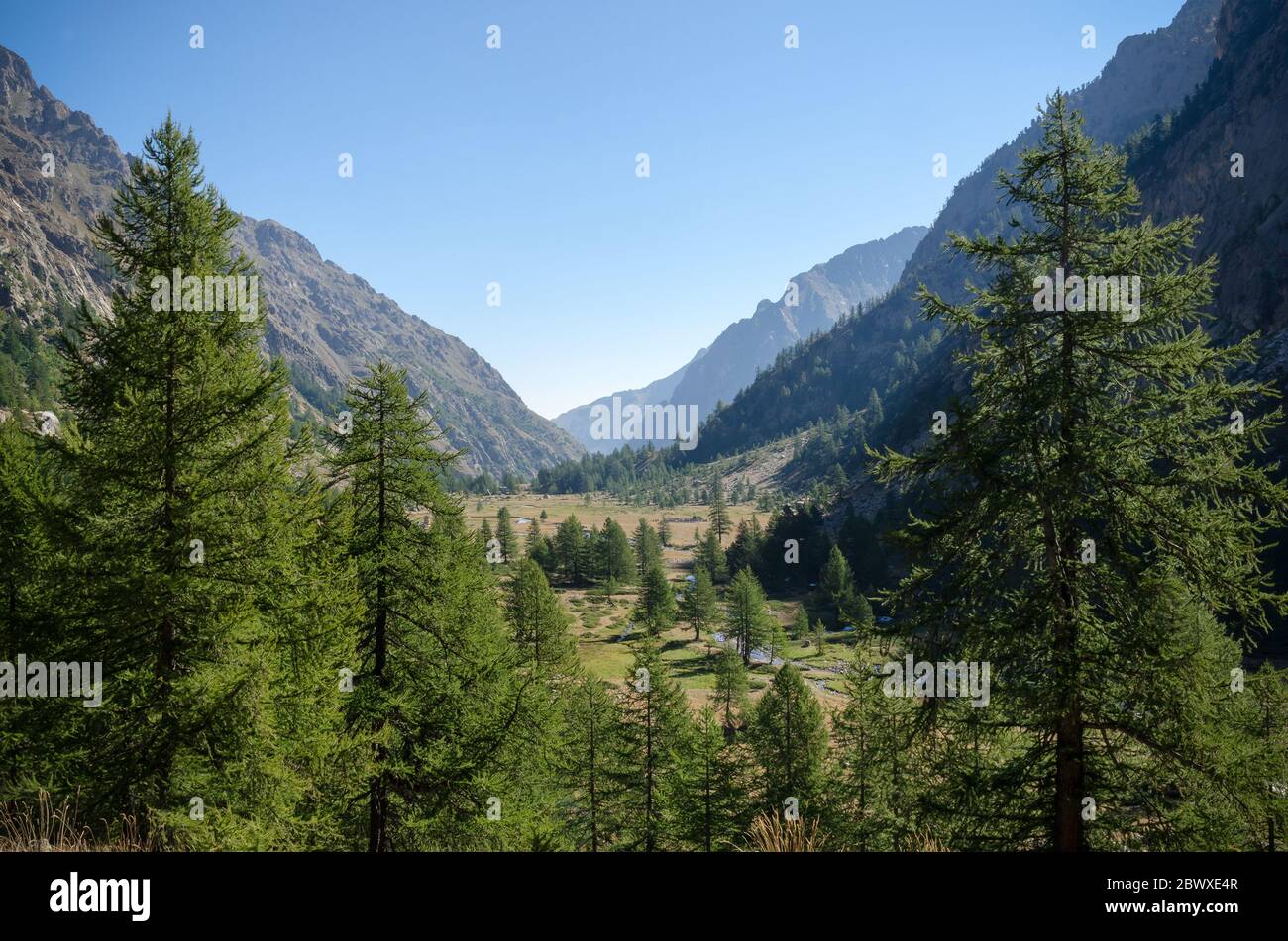 Mountain plateau with river, grass and trees Stock Photo - Alamy
