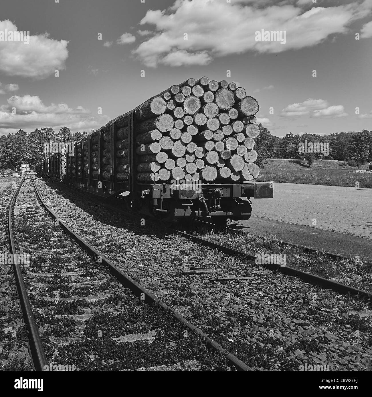 Transverse branch Black and White Stock Photos & Images - Alamy