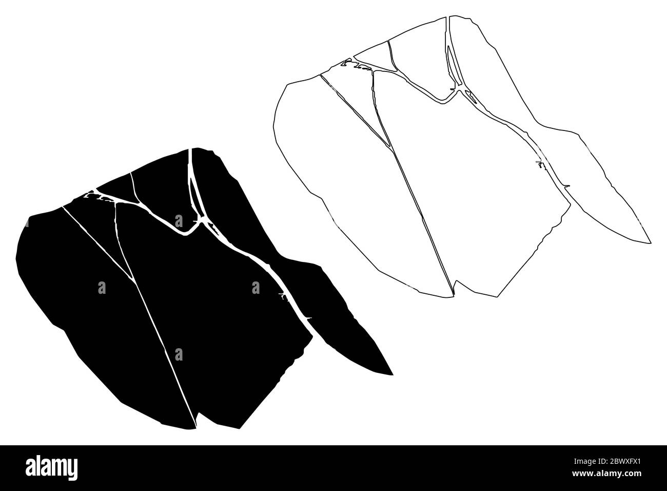 Basra City (Republic of Iraq, Basra Governorate) map vector ...