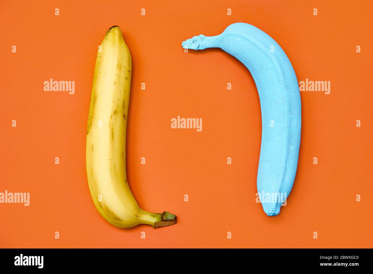 yellow and blue banana on an orange background. copy space Stock Photo ...