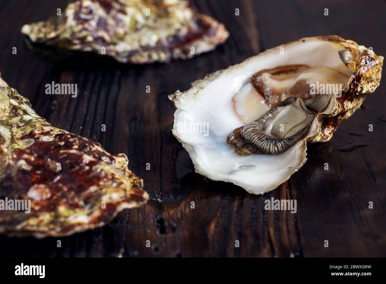 Closed oyster shell hi-res stock photography and images - Alamy
