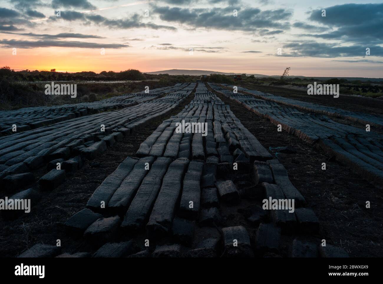 Bog Bricks High Resolution Stock Photography and Images - Alamy