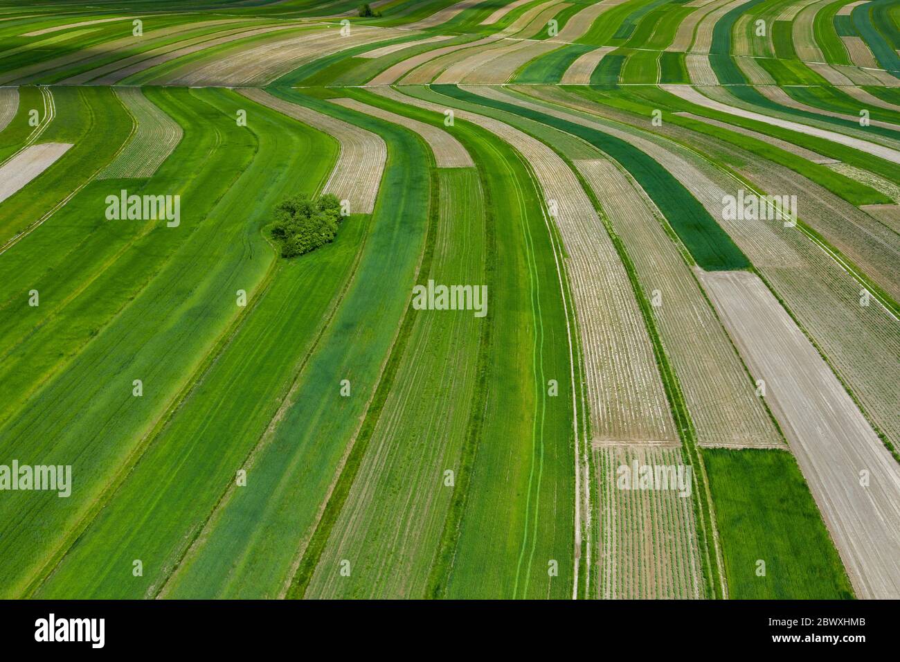 Poland from above. Aerial view of green agricultural fields and village ...