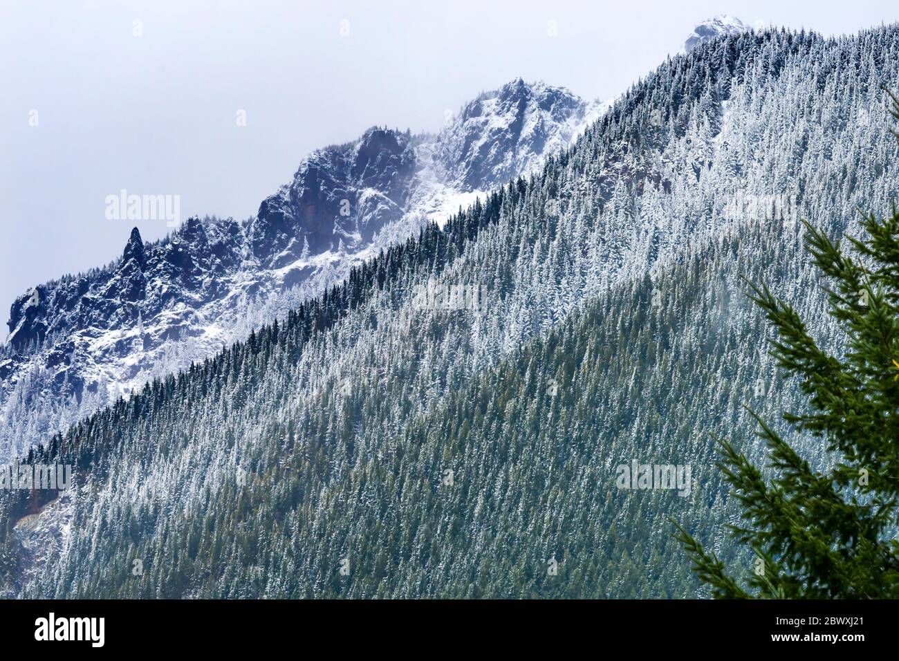 Mount si hi-res stock photography and images - Alamy